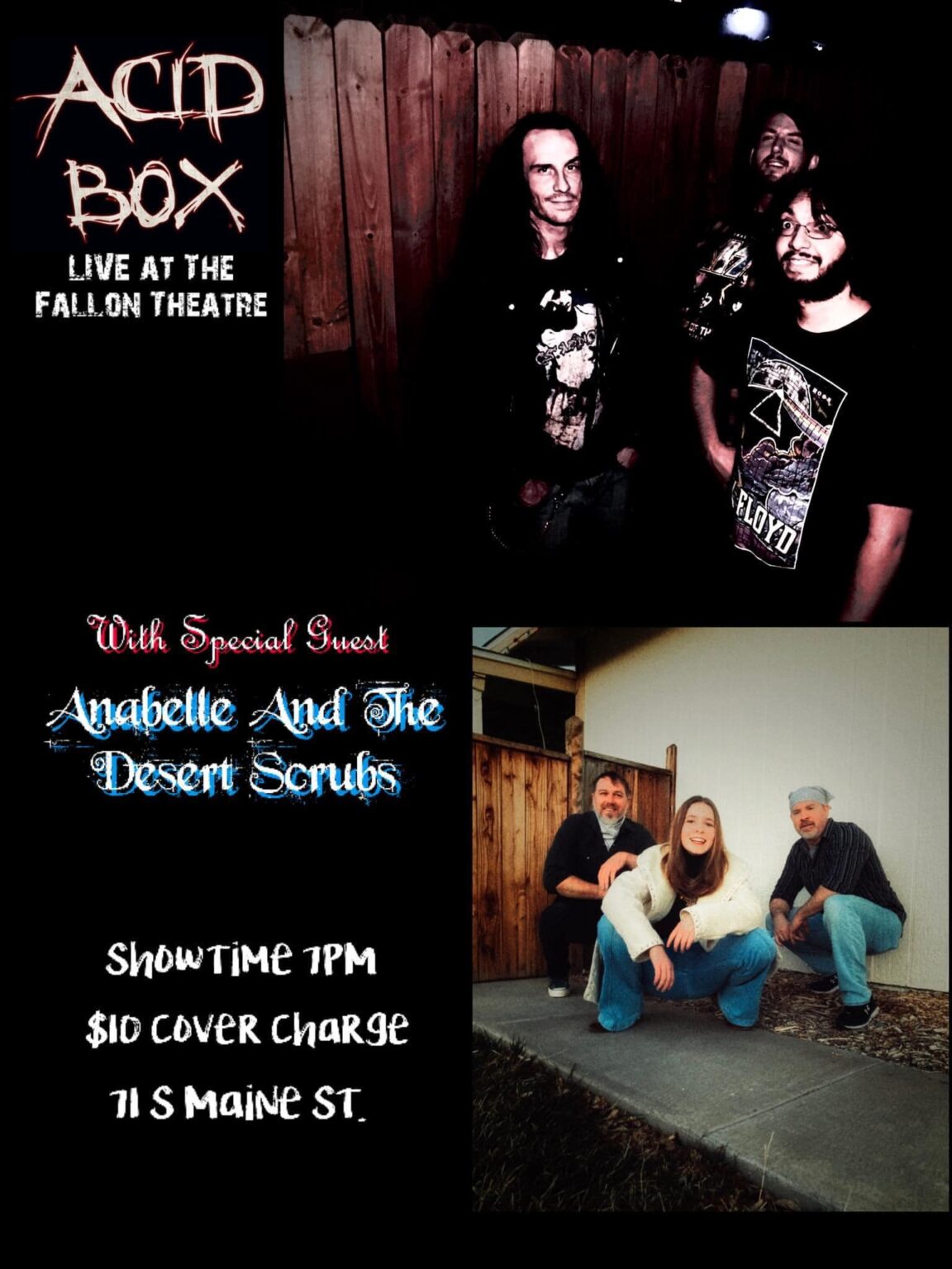 Acid Box with Anabelle and the Desert Scrubs - The Fallon Theatre